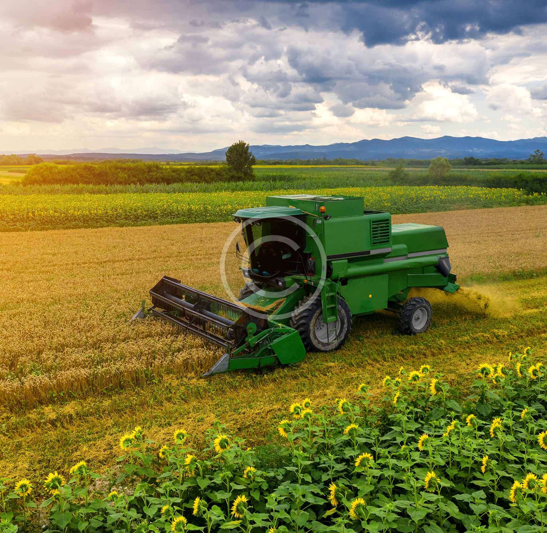 The Key to Improving Agricultural Productivity – World Agro Tourism