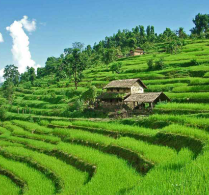 Agri Tourism Project Report & Design – World Agro Tourism